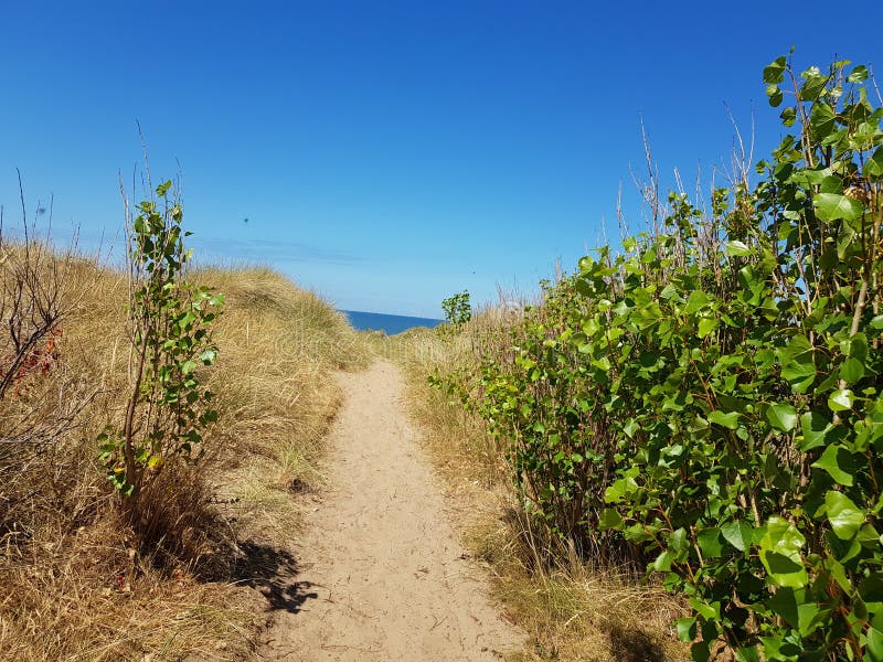 Beach Pathway stock image. Image of pathway, thoroughfare - 16242167