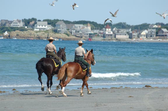 Beach patrol 2 stock photo. Image of gallop, police, safety - 13434