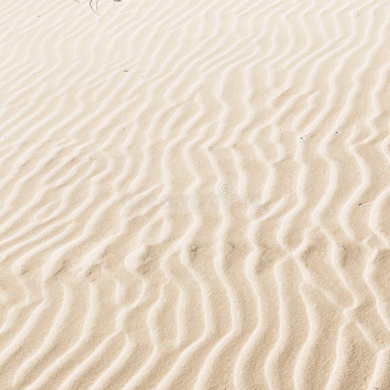 Kelliem - Photographer profile