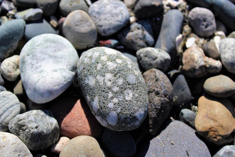 Beach pebbles stock photo. Image of geological, glassy - 94781542