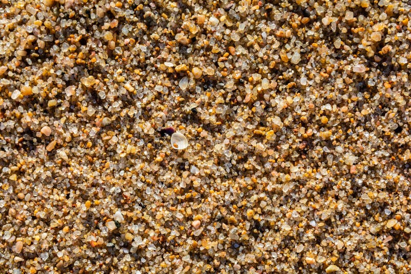 Beach Pebbles and Shells from Above Stock Image - Image of textures ...