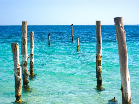 Beach Pier Posts with Birds Stock Photo - Image of fishing, beach: 5494114