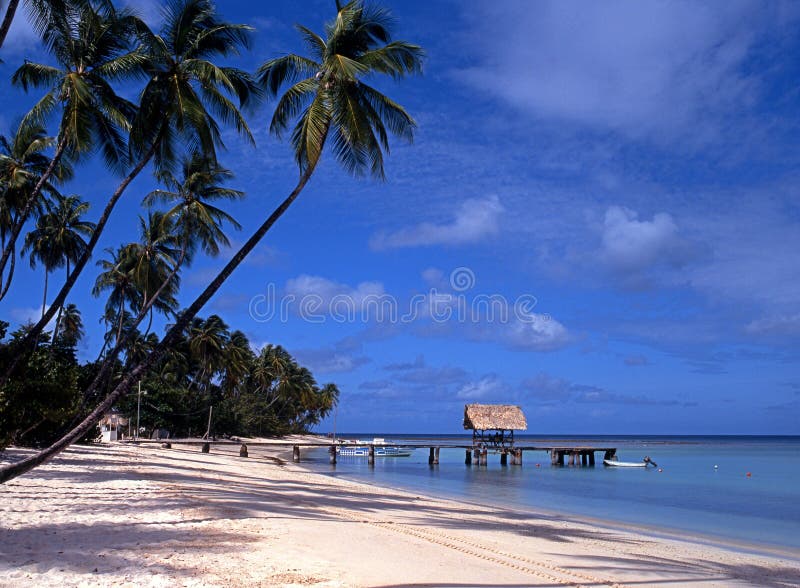 Beach, Pigeon Point, Tobago, Caribbean. Stock Image - Image of tree ...