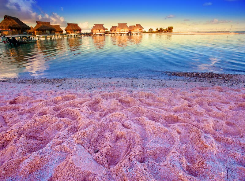 Beach with Pink Sand and Lodges on Water Stock Photo - Image of ...