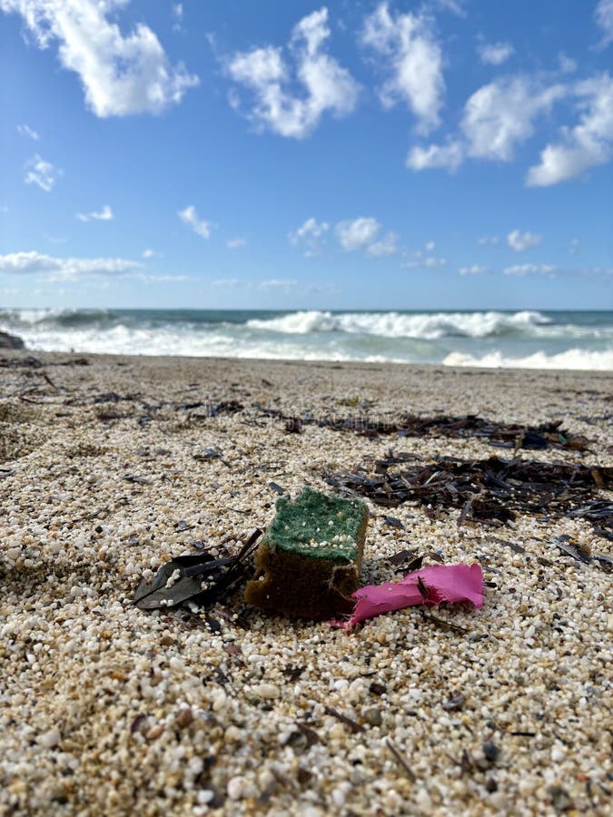 Beach pollution ecology stock image. Image of coastline - 354968559