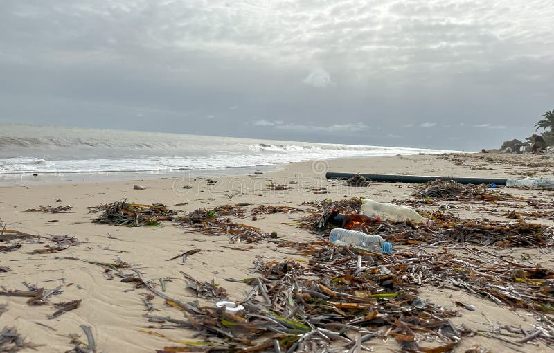 Beach Pollution. Plastic Bottles and Other Trash on Sea Beach Stock ...