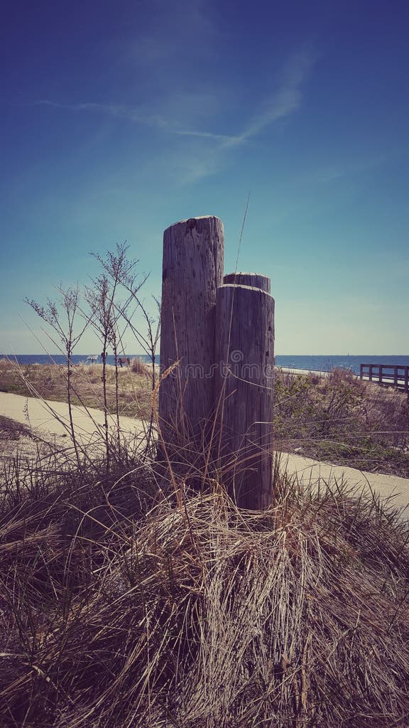 Beach posts stock image. Image of ocean, summertime, sand - 70349411