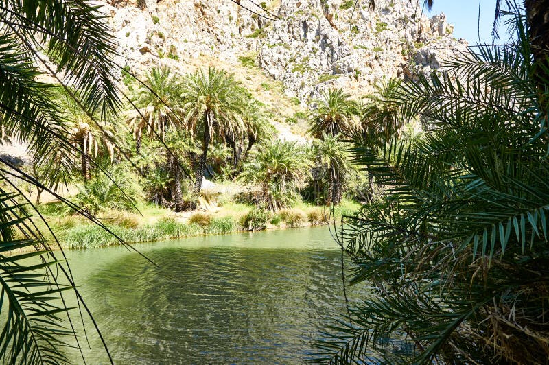 Preveli beach, Crete stock photo. Image of ocean, beach - 277309338
