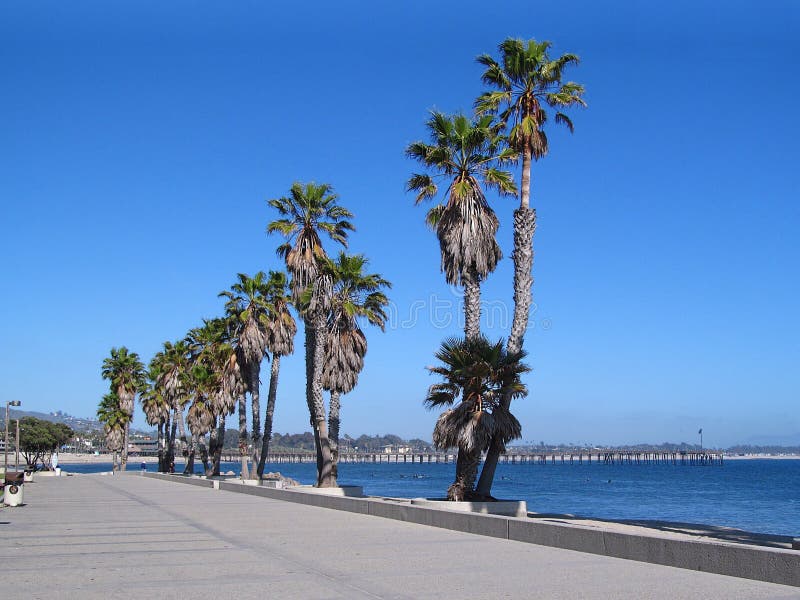 Beach Promenade stock image. Image of walk, ocean, trees - 42313177