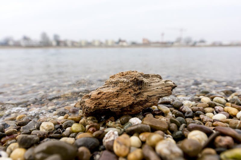 Beach property stock photo. Image of shell, shore, jumble - 86567490
