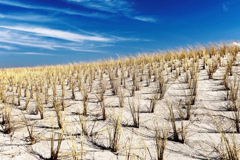 Beach Protection Barrier Breakwater Stock Image - Image of ocean, block ...