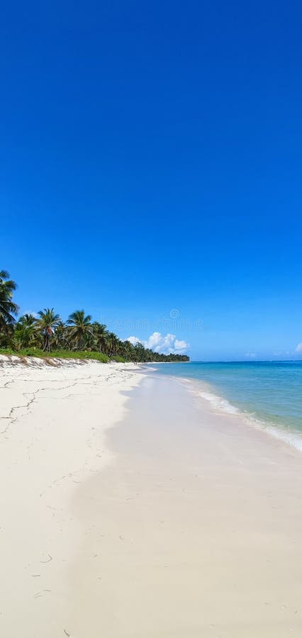 Beach at Punta Cana Paradise Stock Photo - Image of vacation, sand ...