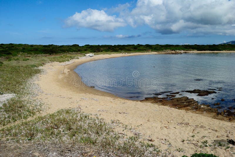 The beach of Punta Negra stock photo. Image of beach - 282584476