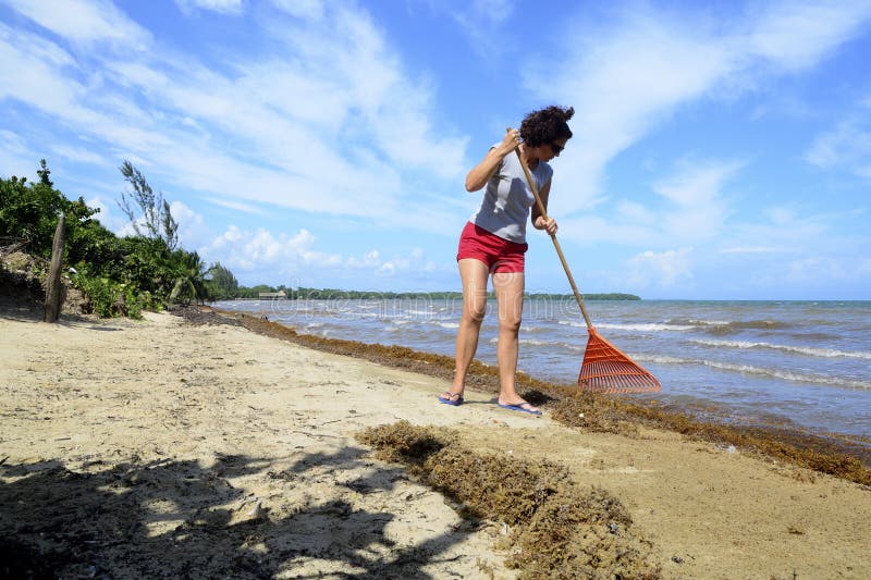 Beach Raking stock image. Image of america, woman, female - 50065539