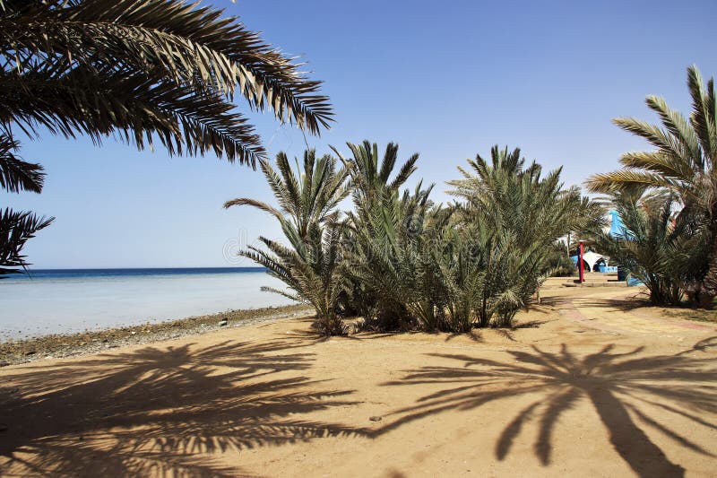 The Beach of Red Sea, Saudi Arabia Stock Photo - Image of village ...