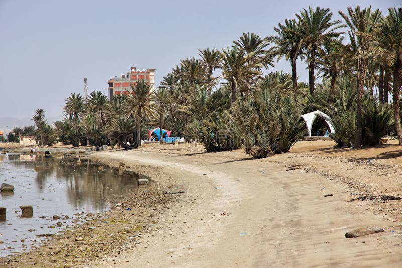 The Beach of Red Sea, Saudi Arabia Stock Photo - Image of sand, life ...