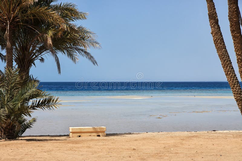 The Beach of Red Sea, Saudi Arabia Stock Photo - Image of desert, palm ...