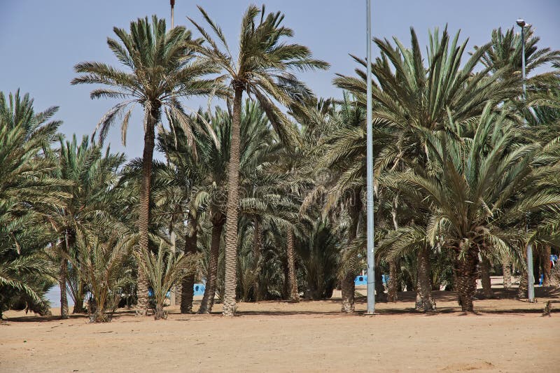 The Beach of Red Sea, Saudi Arabia Stock Image - Image of marine ...