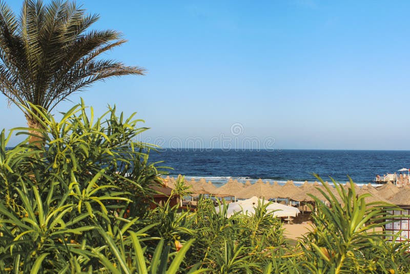 Beach on the Red Sea stock photo. Image of summer, tropical - 114969306