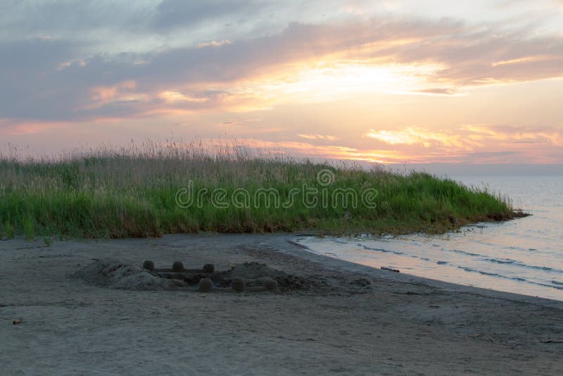 Beach with reeds stock photo. Image of beaches, grass - 56635422