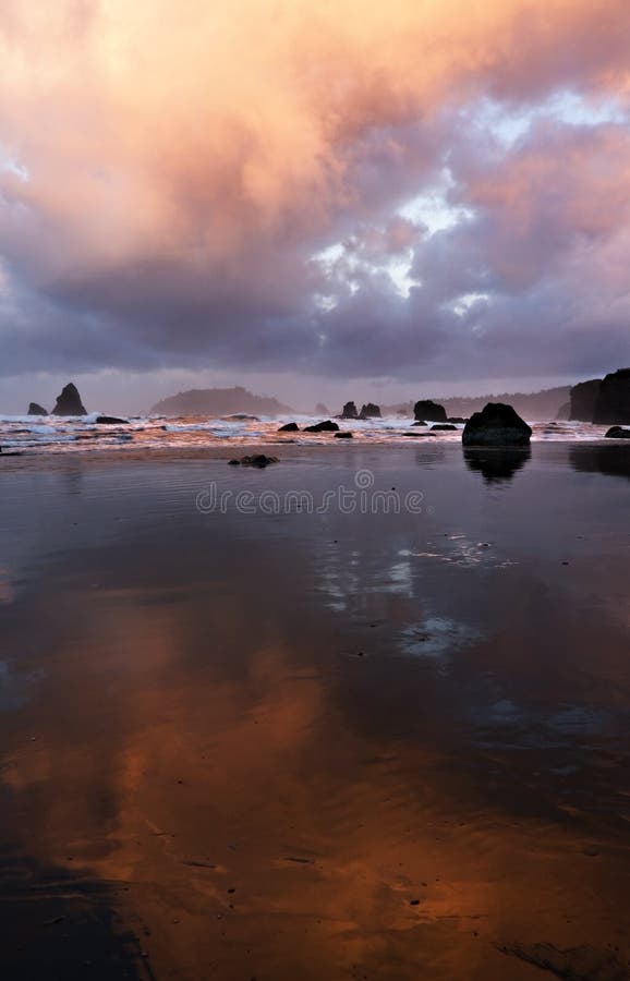 Beach Reflections at Dawn stock photo. Image of nature - 4017988