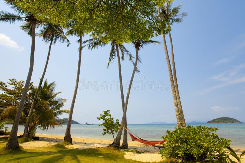 Beach rest stock image. Image of life, blue, coconut - 29574413
