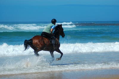 Beach rider stock image. Image of enjoying, exercise, lifestyle - 2264621