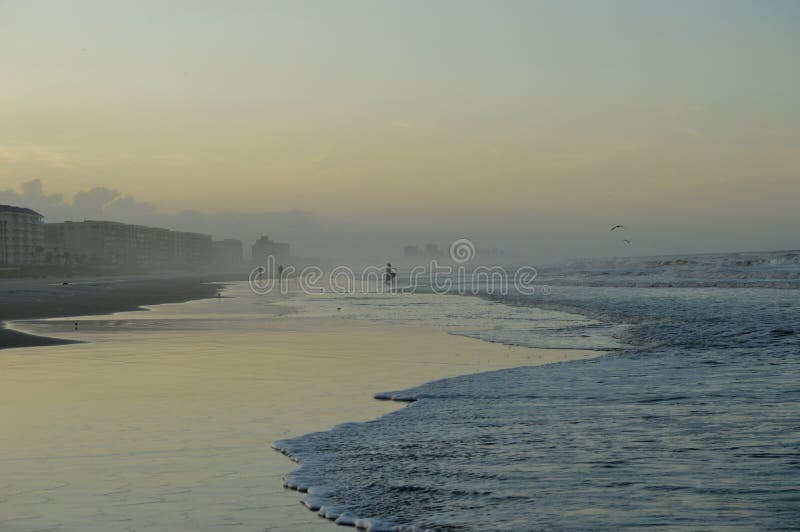 The Beach is Right Below the Trees and Rocks on the Shore Stock Image ...