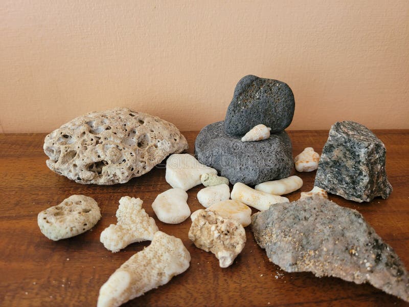 Beach Rock Collection with Coral Stock Photo - Image of rock, beach ...