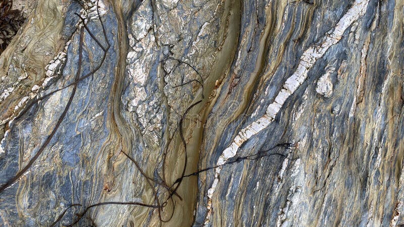 Beach Rock Strata Abstract Background Stock Image - Image of seaside ...