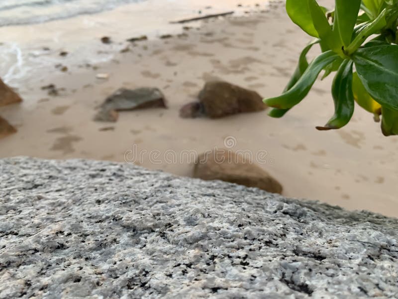 Beach rock stock image. Image of white, leaf, vacation - 286377937