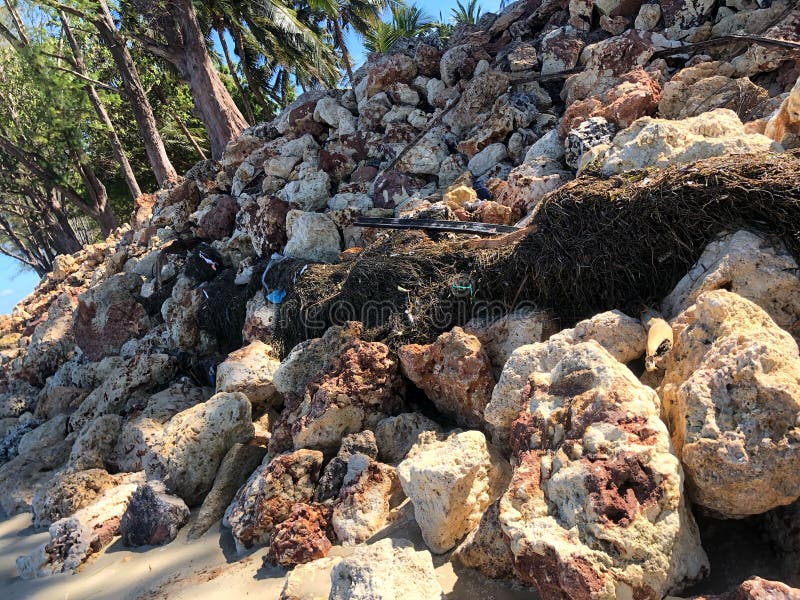 Beach rocks stock image. Image of beautiful, rocks, beach - 264388277