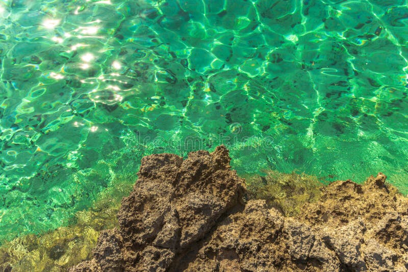 Beach with Rocks and Clean Water Stock Photo - Image of color, reed ...