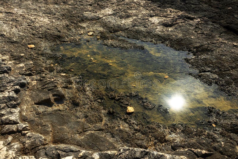 Beach with Rocks and Clean Water Stock Photo - Image of deep, warm ...