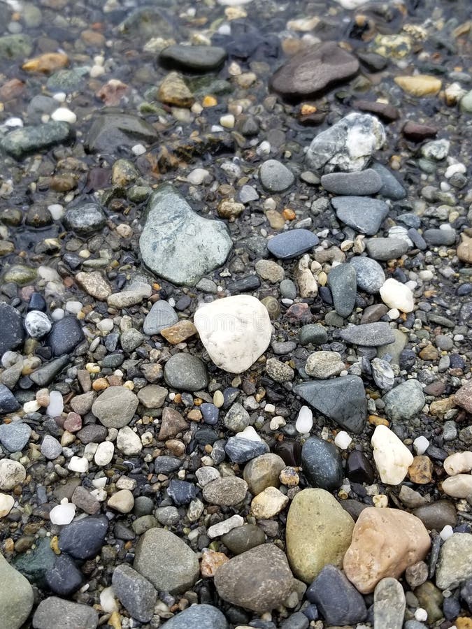 Beach rocks stock image. Image of rocks, sound, puget - 128249911