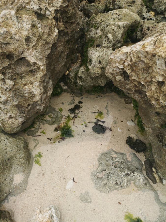 Sand with rocks stock image. Image of wall, wildlife - 203851091