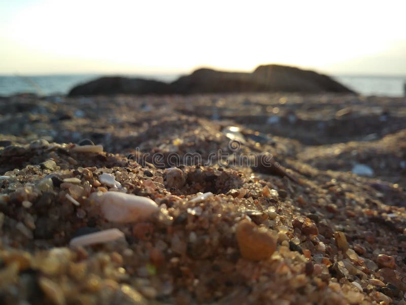 Beach stock photo. Image of shells, beach, ocean, sand - 90696074