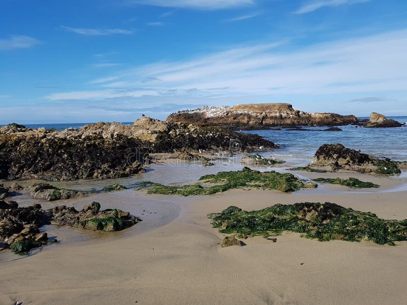 View of a Beautiful Beach in California Stock Image - Image of ...