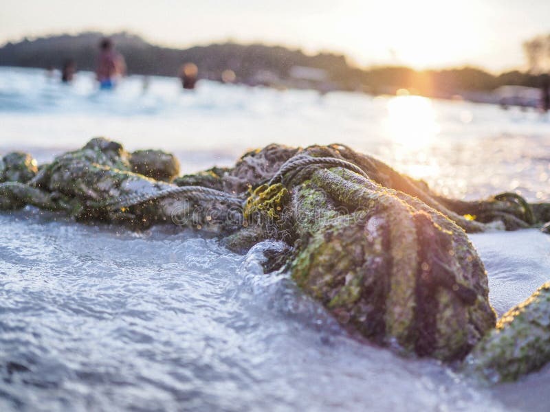 Beach rope stock image. Image of summer, sand, pirate - 98085007