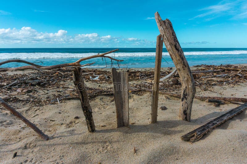 Beach with Rubble after a Hurricane in Mexico. Stock Photo - Image of ...