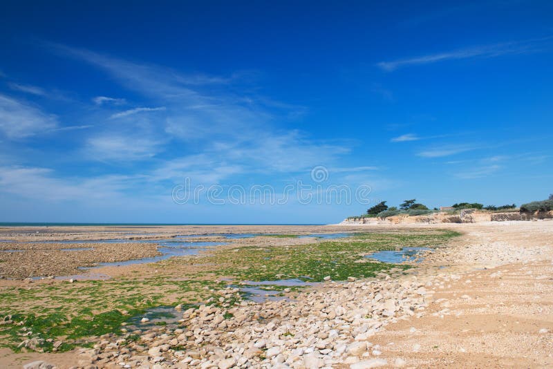 Beach Ile de Re stock image. Image of nature, beach - 159201595