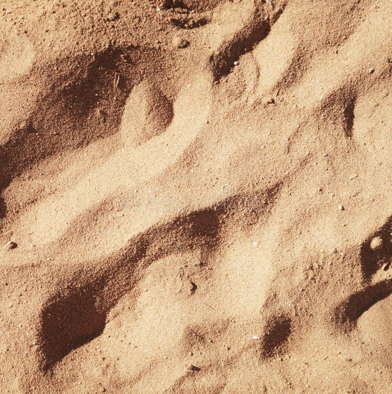 Beach sand background stock image. Image of design, background - 105101635