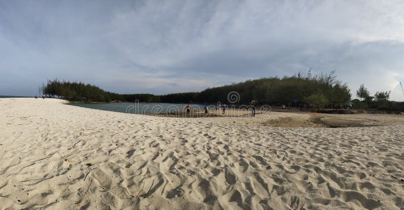 Beach Sand Background Surrounded by Many Trees and Clear Sky Stock ...