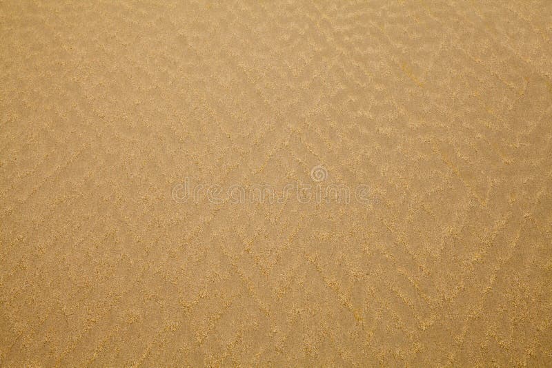 Beach Sand Background stock photo. Image of view, desert - 134053698