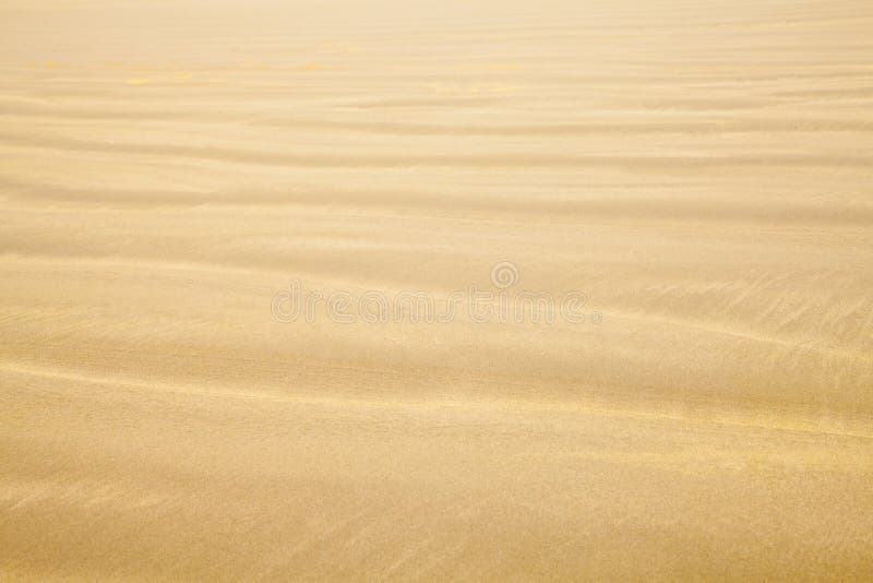 Beach Sand Backround stock photo. Image of brown, barren - 134053738