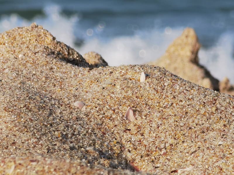 Beach Sand Close Up. Summer Vacation Photo Stock Photo - Image of close ...