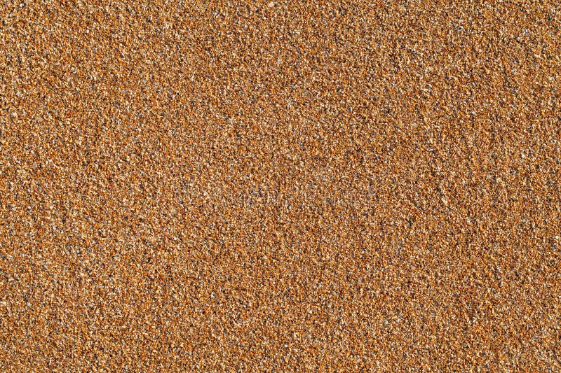 Beach Sand Close-up Top View, Uniform Texture Background Stock Image ...
