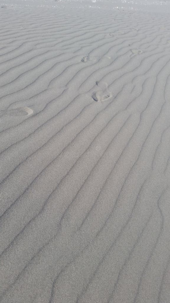 Beach Sand in Divjaka ,Albania Stock Image - Image of natural, summer ...