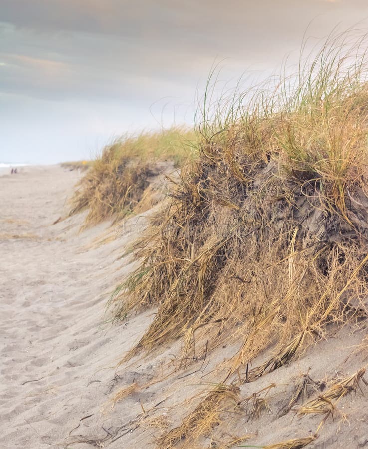 Beach Sand Dunes stock photo. Image of ocean, sand, seaside - 111043770