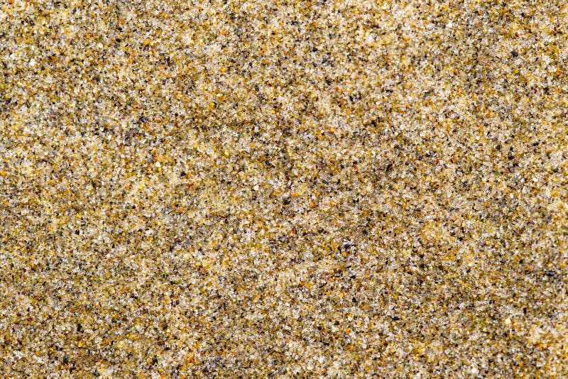 Sand Filled Beach with Large Golden Colored Glass Sand Timer Sitting on ...
